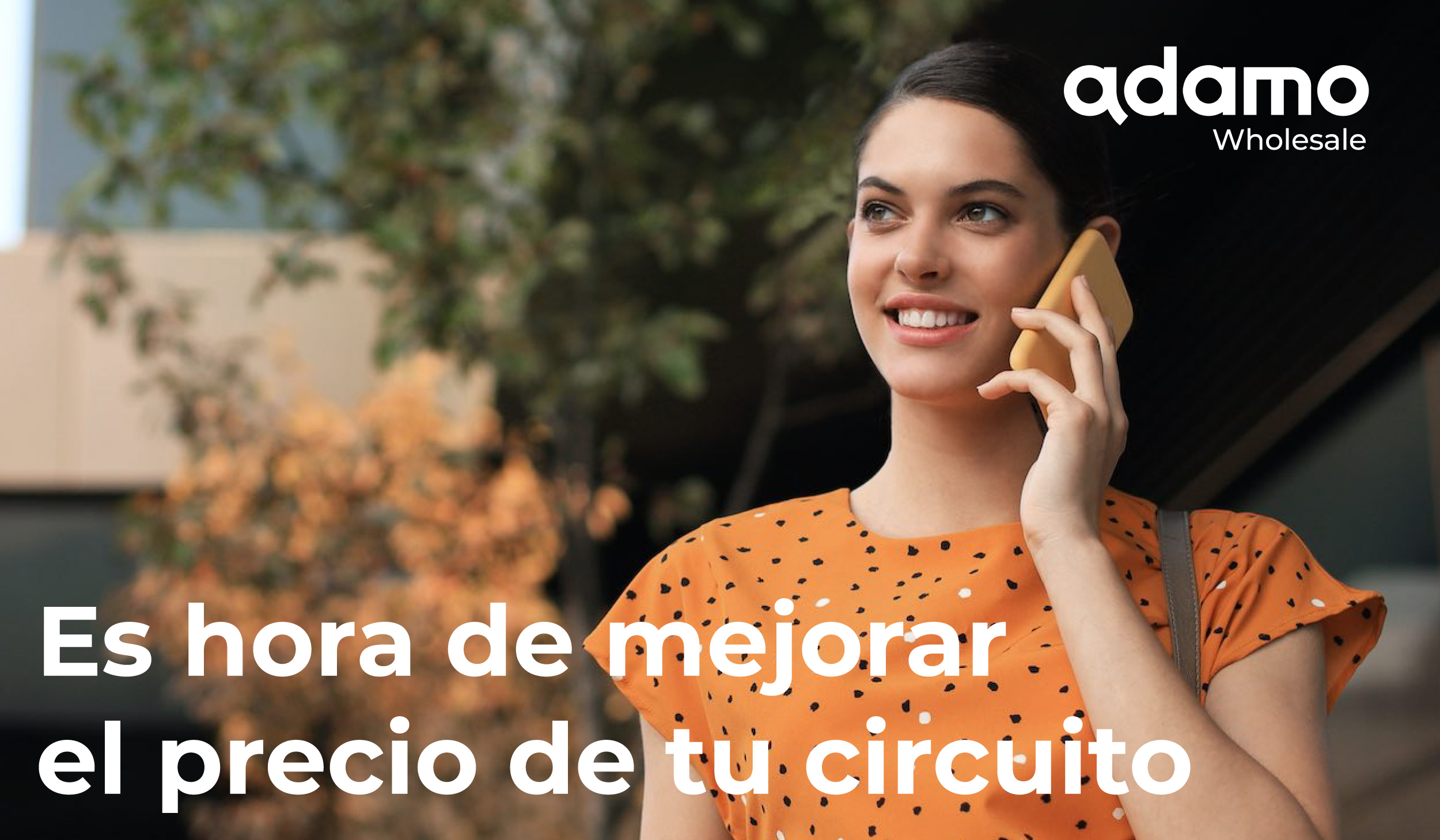 Conectividad Adamo Wholesale